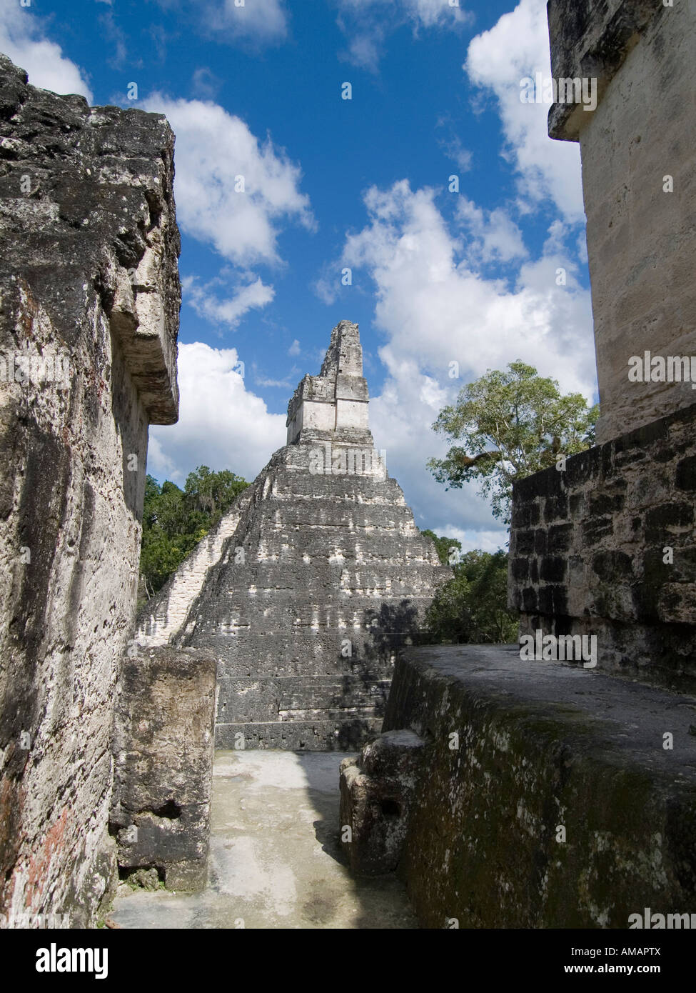 Tikal, Guatemala : ruines mayas de Tikal, pyramide # 1 Photo Stock - Alamy