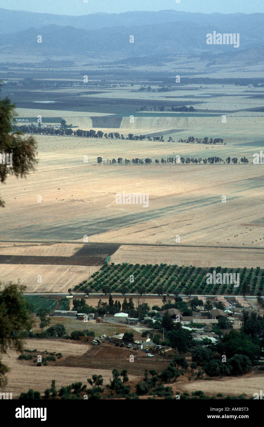 Les champs cultivés dans la plaine de la Mitidja Algérie 2003 Photo ...