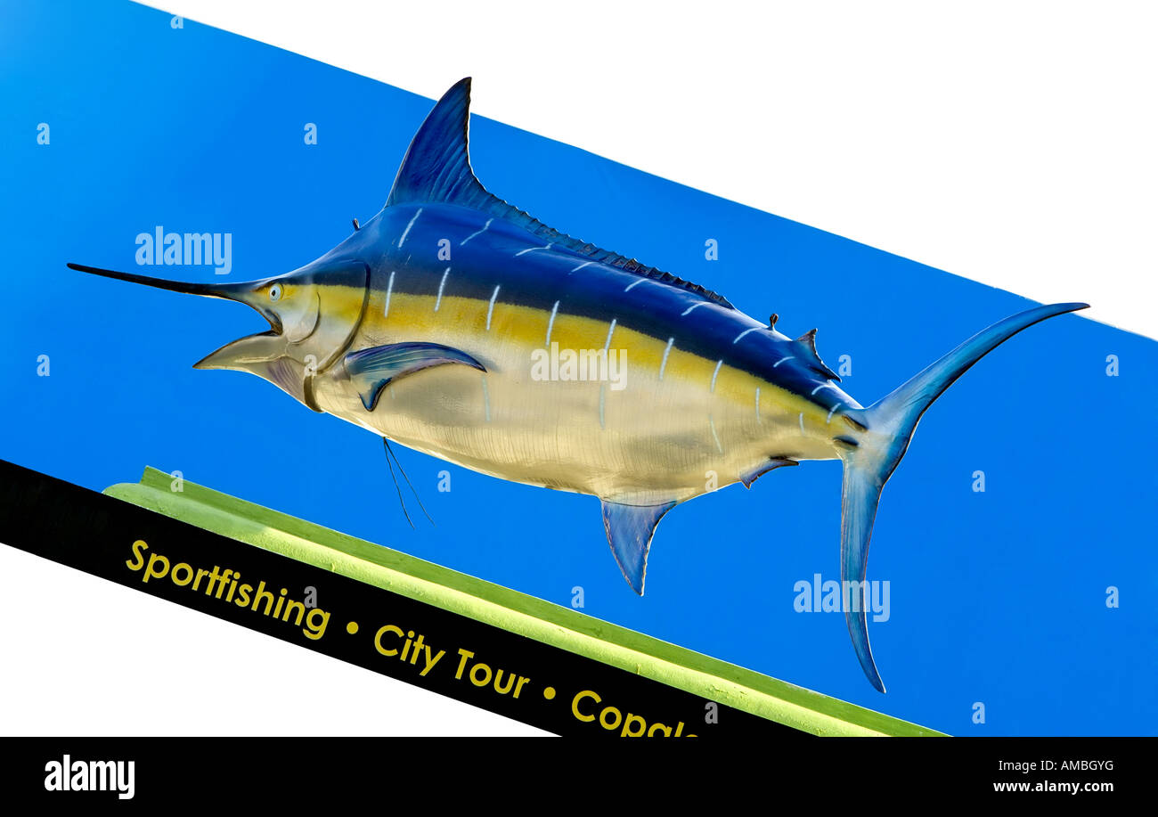 Marlin fish Banque de photographies et d’images à haute résolution - Alamy