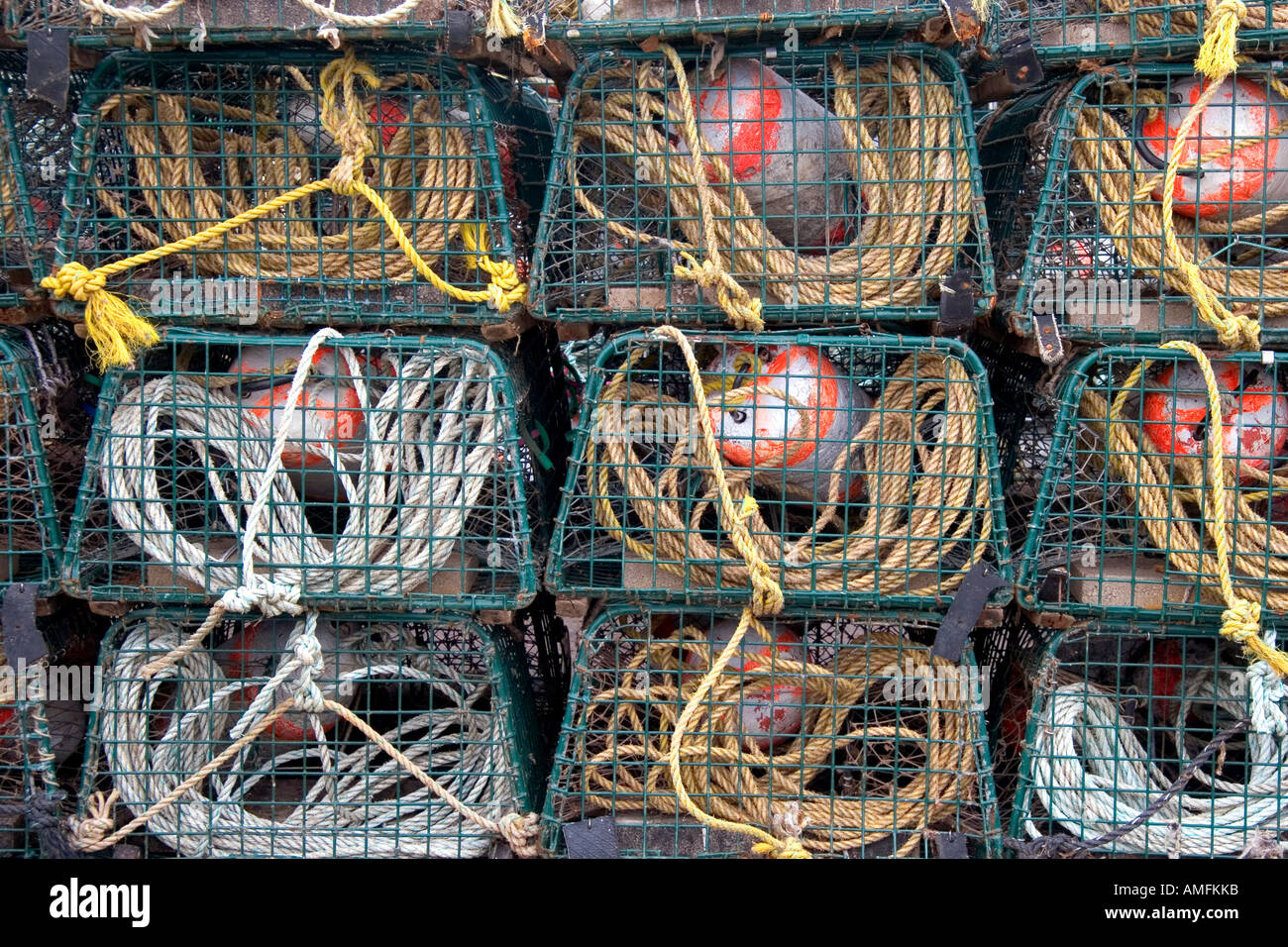 Le Plus Gros Homard Du Monde Banque d'image et photos - Alamy
