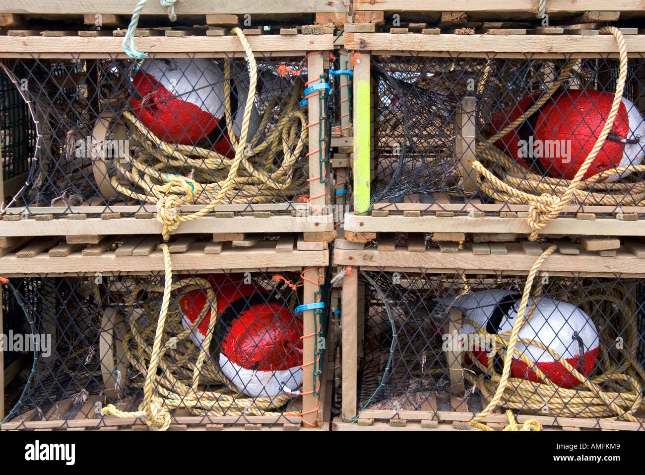 Le Plus Gros Homard Du Monde Banque d'image et photos - Alamy