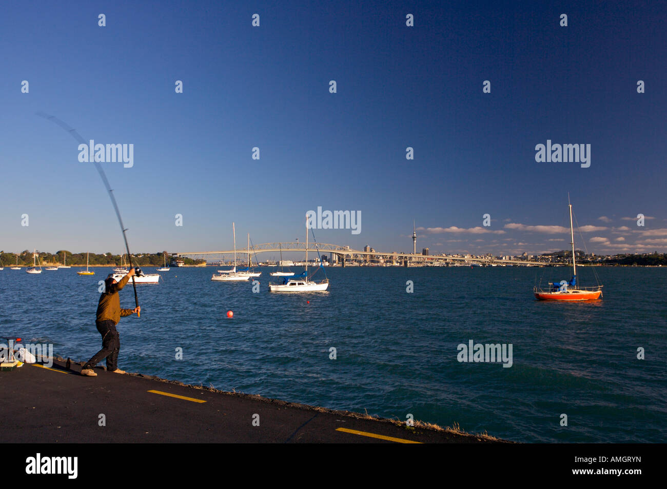 Auckland City, le Harbour Bridge et Sky Tower vu de Hinemoa Park ...