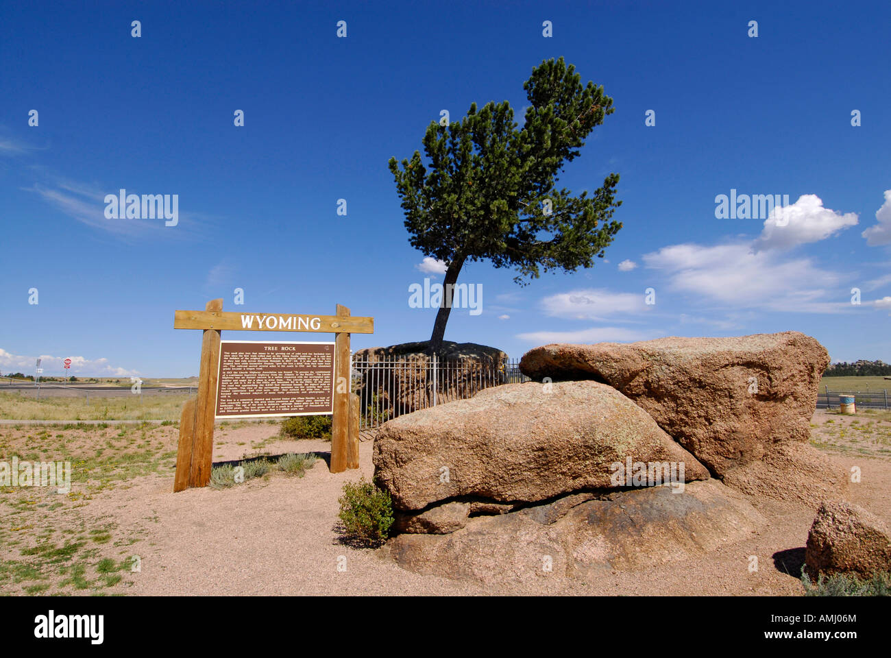 Le célèbre arbre Wyoming Rock où plusieurs centaines d'année vieux pin ...
