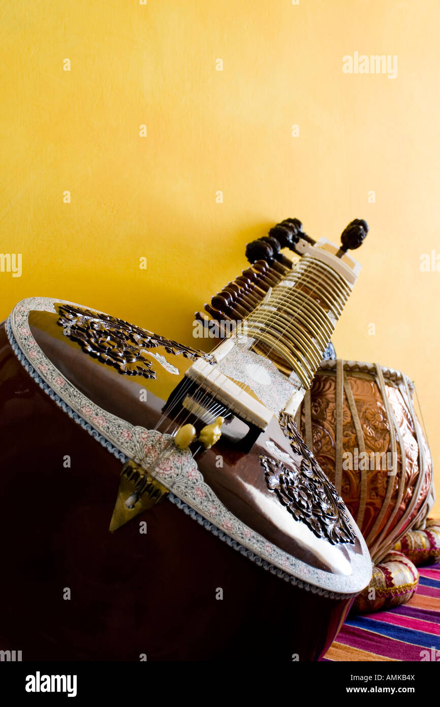 Indian lute Banque de photographies et d’images à haute résolution - Alamy