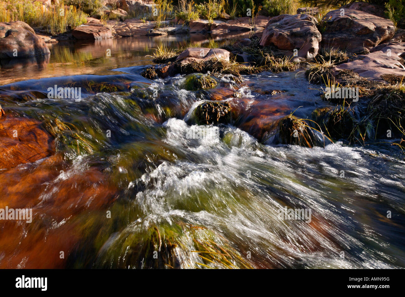 Eau claire de ruisseau de montagne Banque de photographies et d’images à haute résolution - Alamy