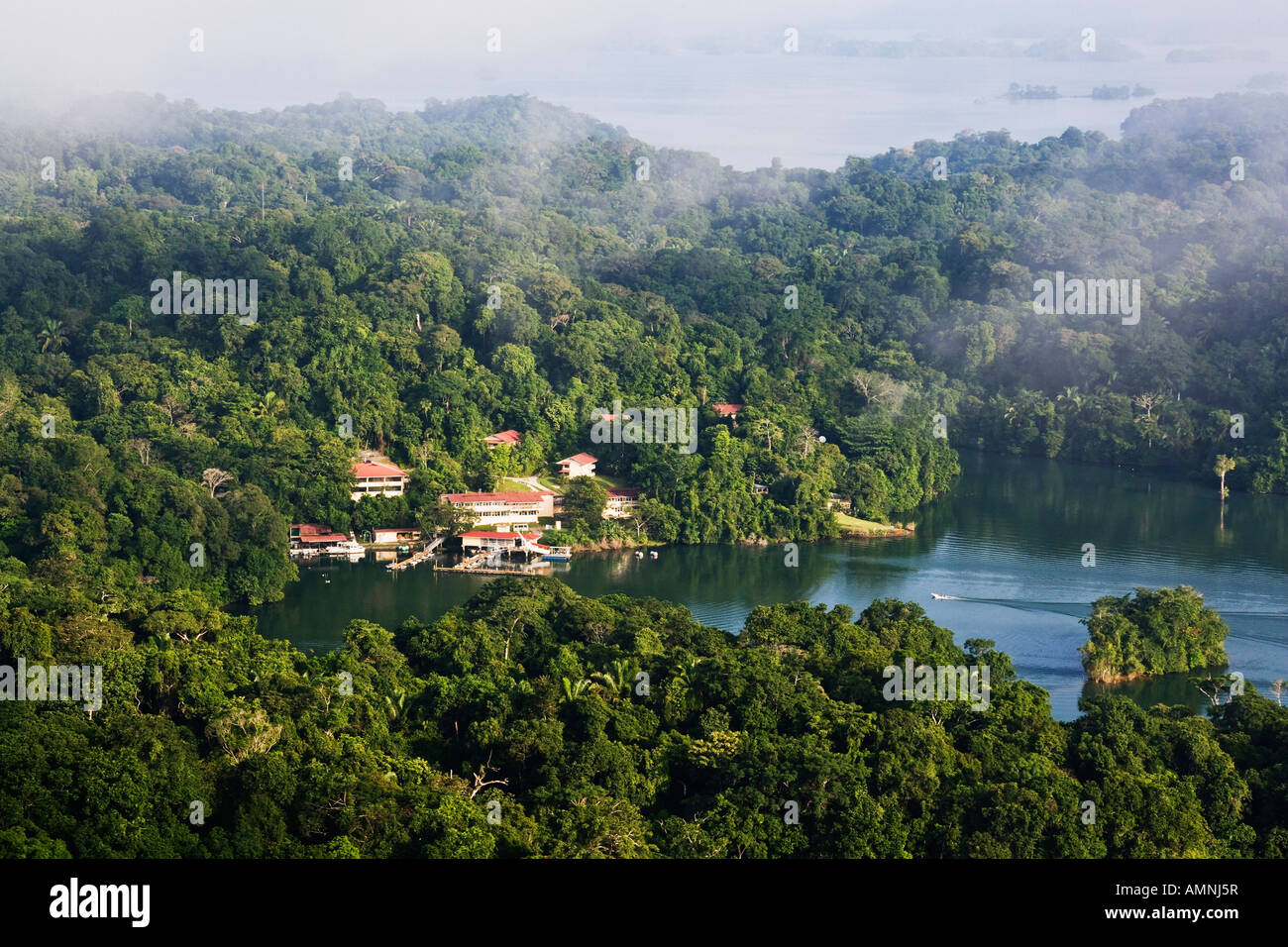 Smithsonian Tropical Research Institute, l'île de Barro Colorado, Lago ...