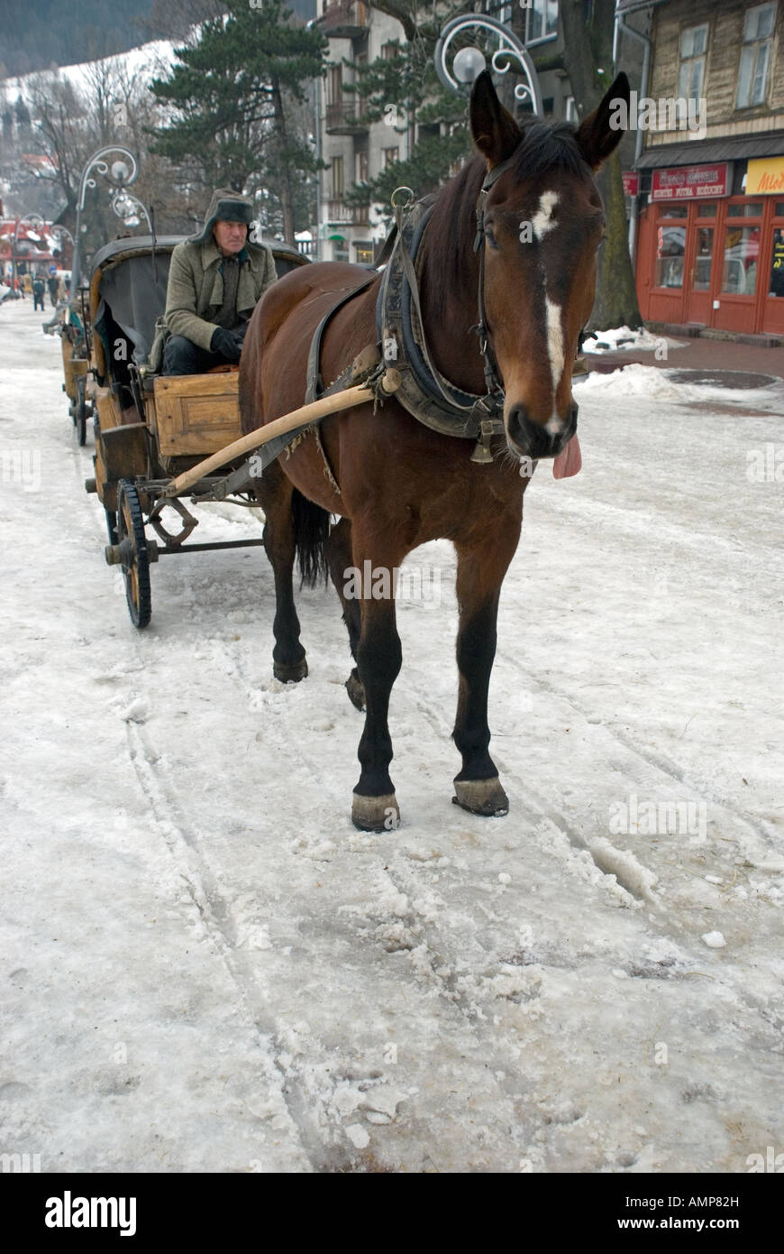 Horse carriage zakopane poland Banque de photographies et d’images à ...