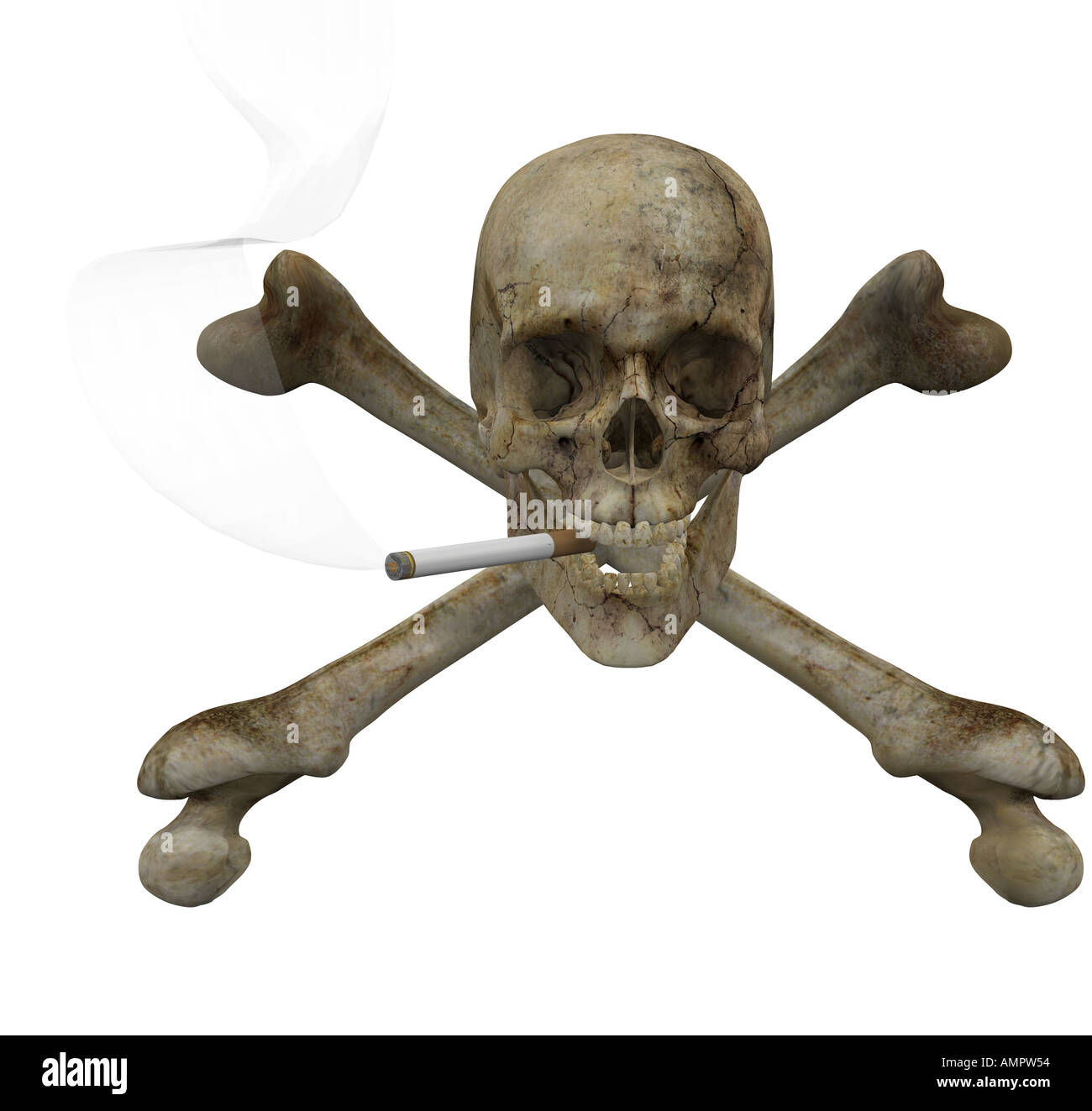 Anatomie tabac anatomique Banque d'images détourées - Alamy