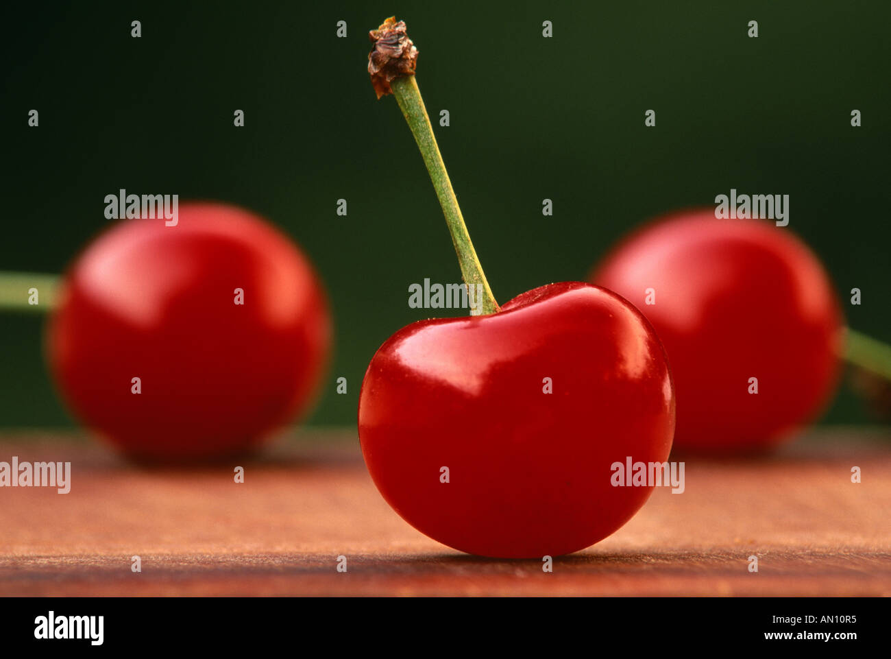 Cerise de montmorency Banque de photographies et d’images à haute ...