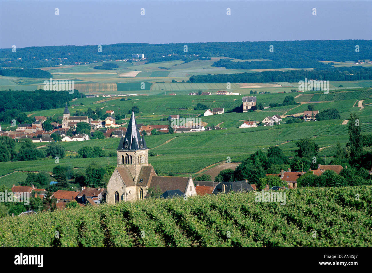 Vineyards near reims Banque de photographies et d’images à haute ...