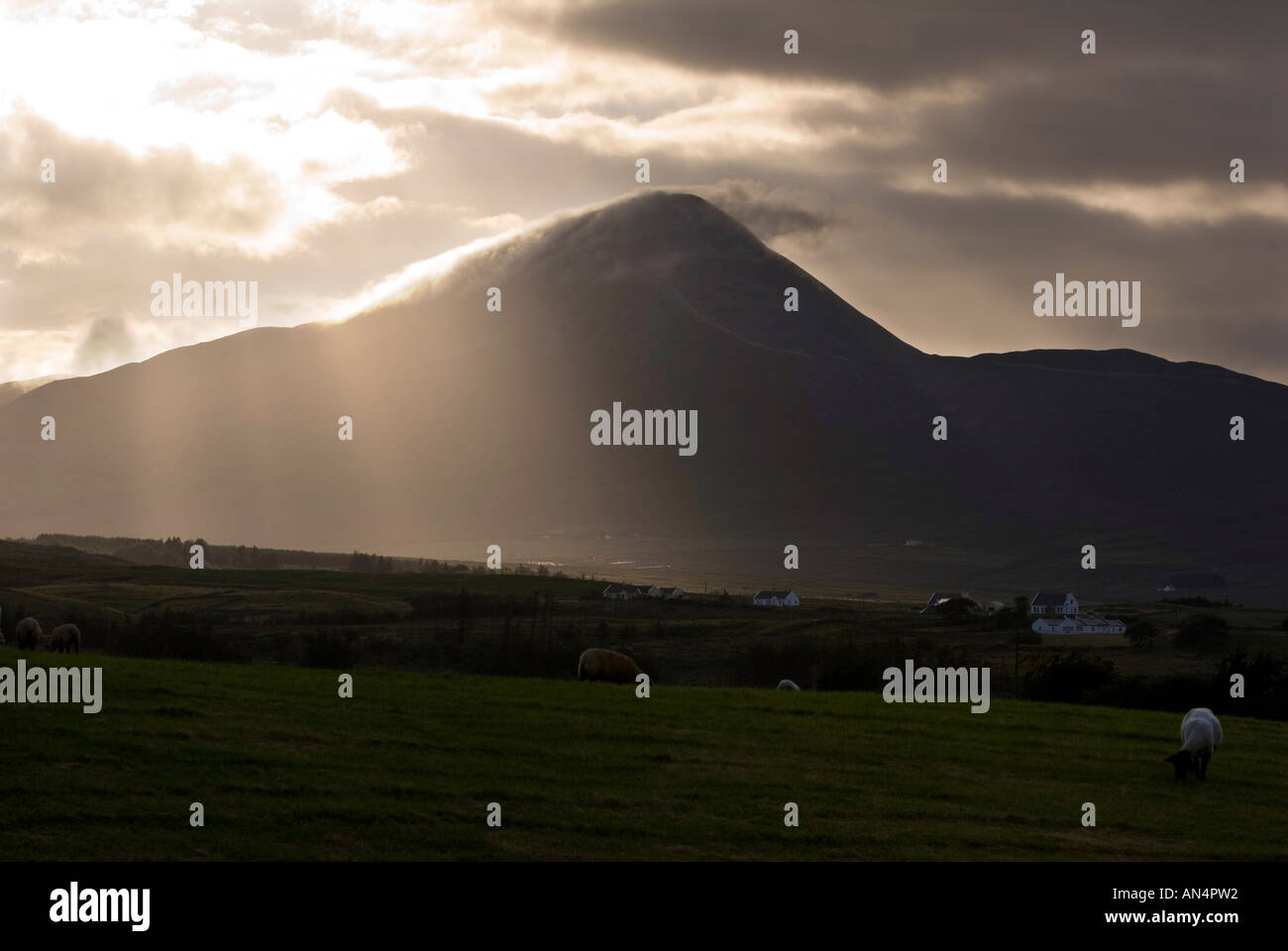 Croagh patrick co mayo irlande Banque de photographies et d’images à ...