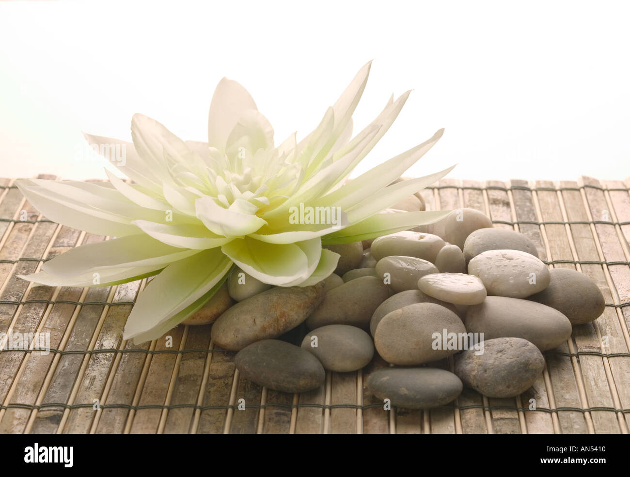 La Plus Belle Fleur Banque d'image et photos - Alamy