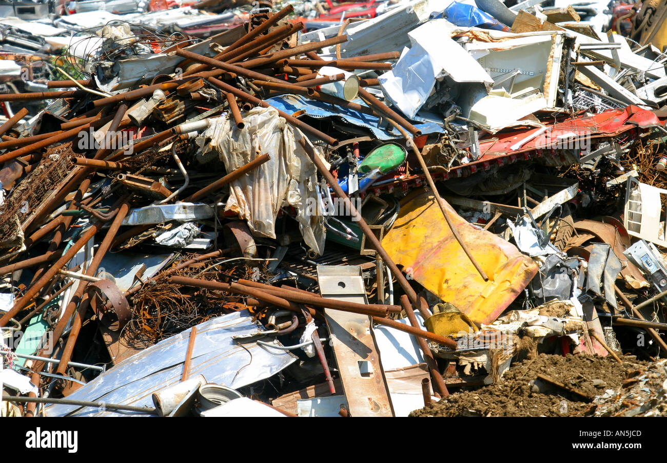 Squashed by wheels Banque de photographies et d’images à haute ...