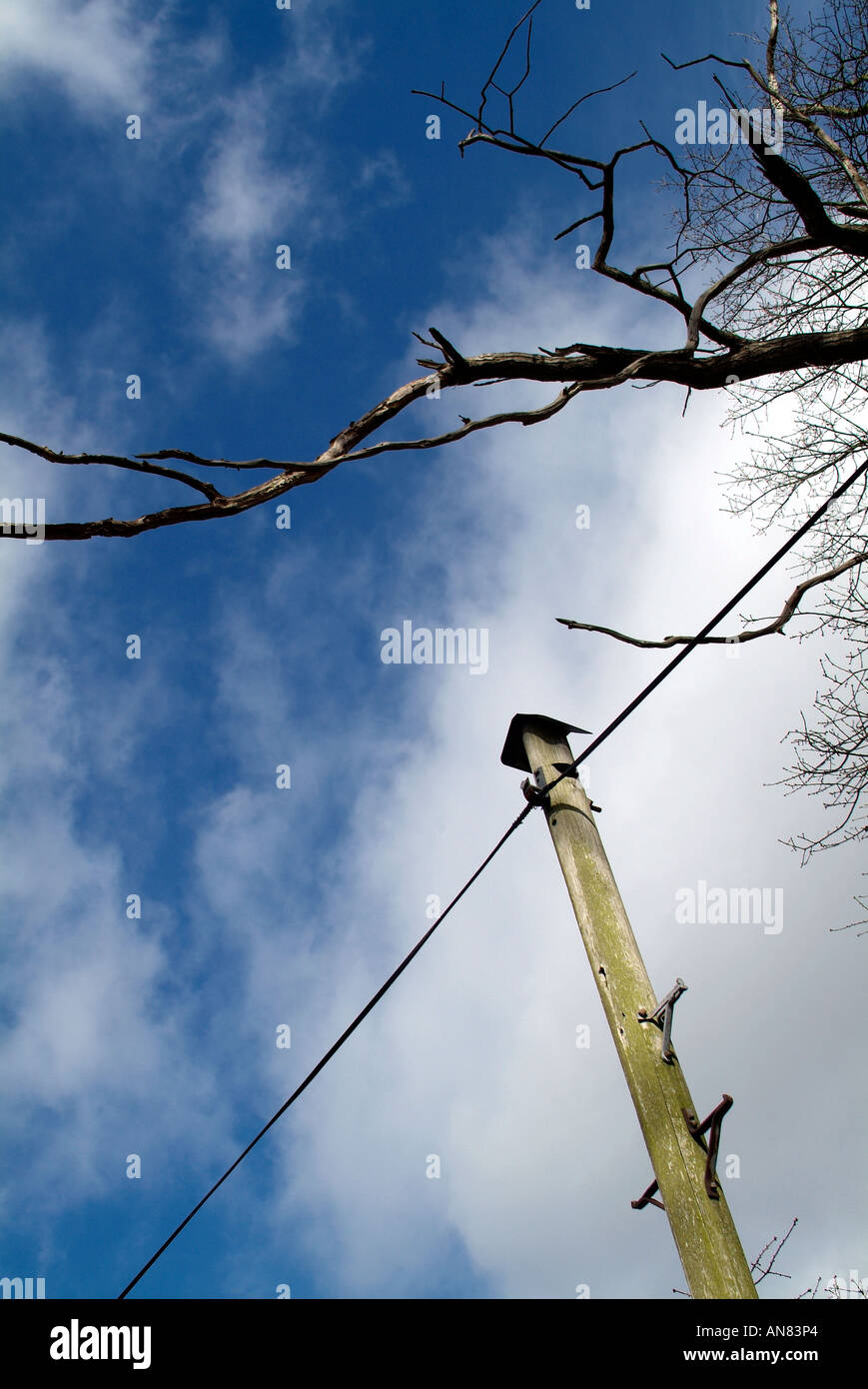 Coiffe des poteaux Banque de photographies et d’images à haute résolution - Alamy