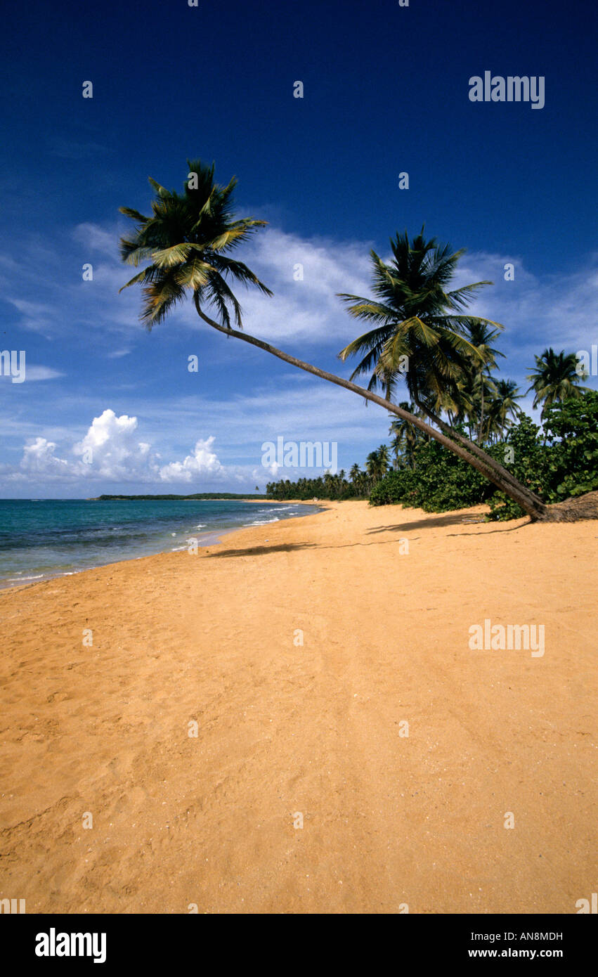 Plage porto rico Banque de photographies et d’images à haute résolution ...