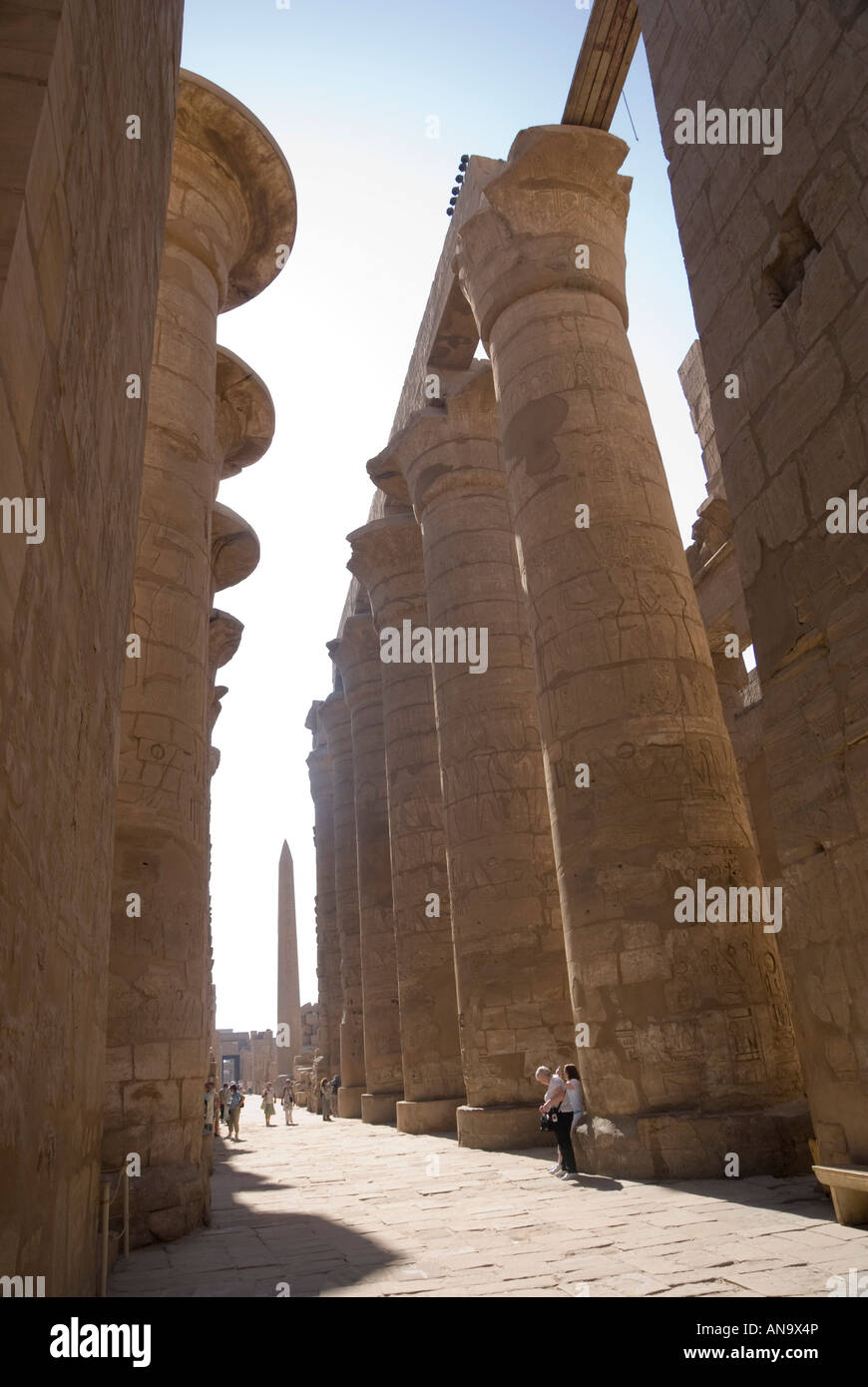 Lotus column at temple of luxor Banque de photographies et d’images à ...
