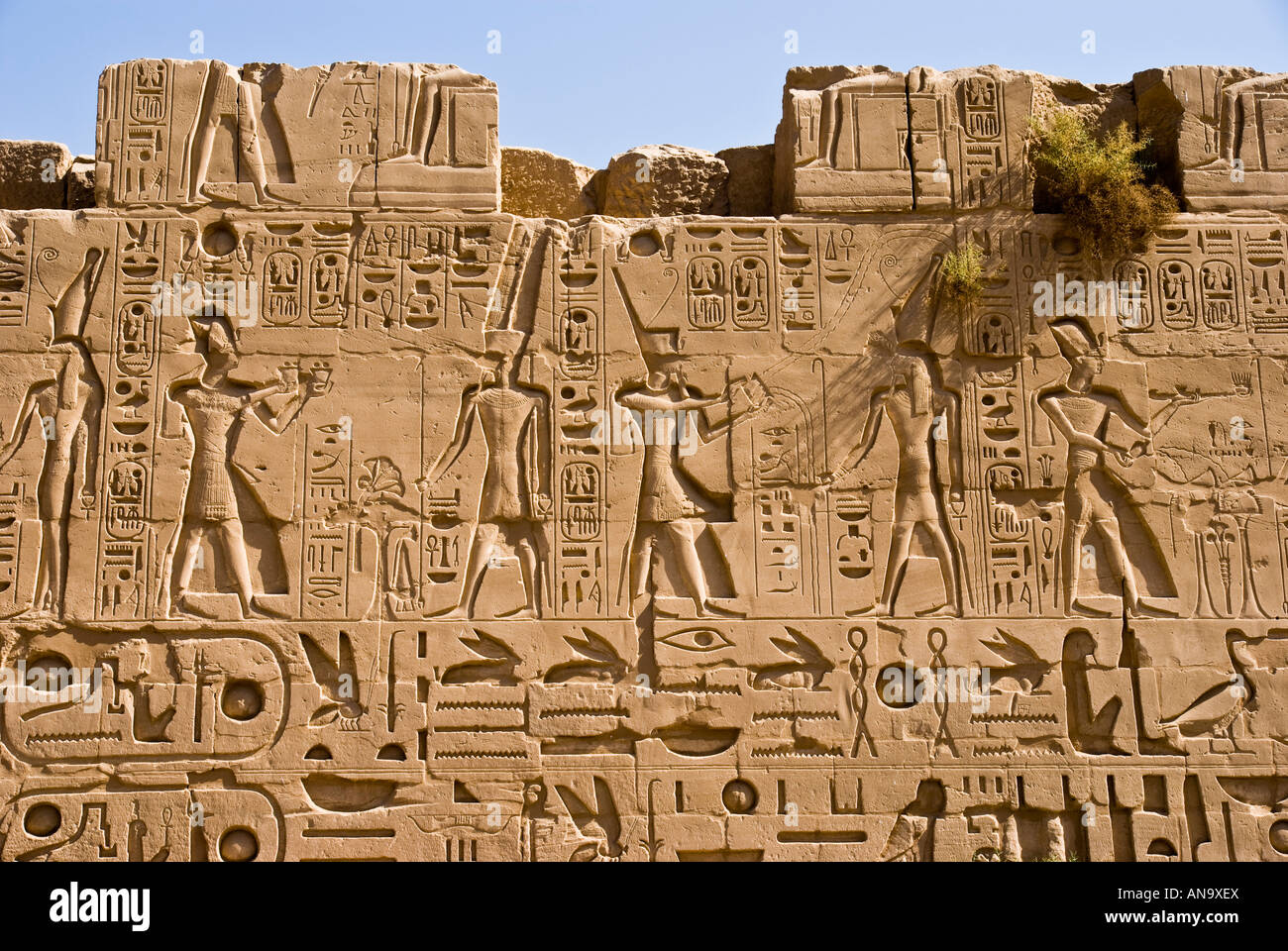 Temple de Karnak Louxor Égypte sculpté relief heiroglyphics et art mur ...