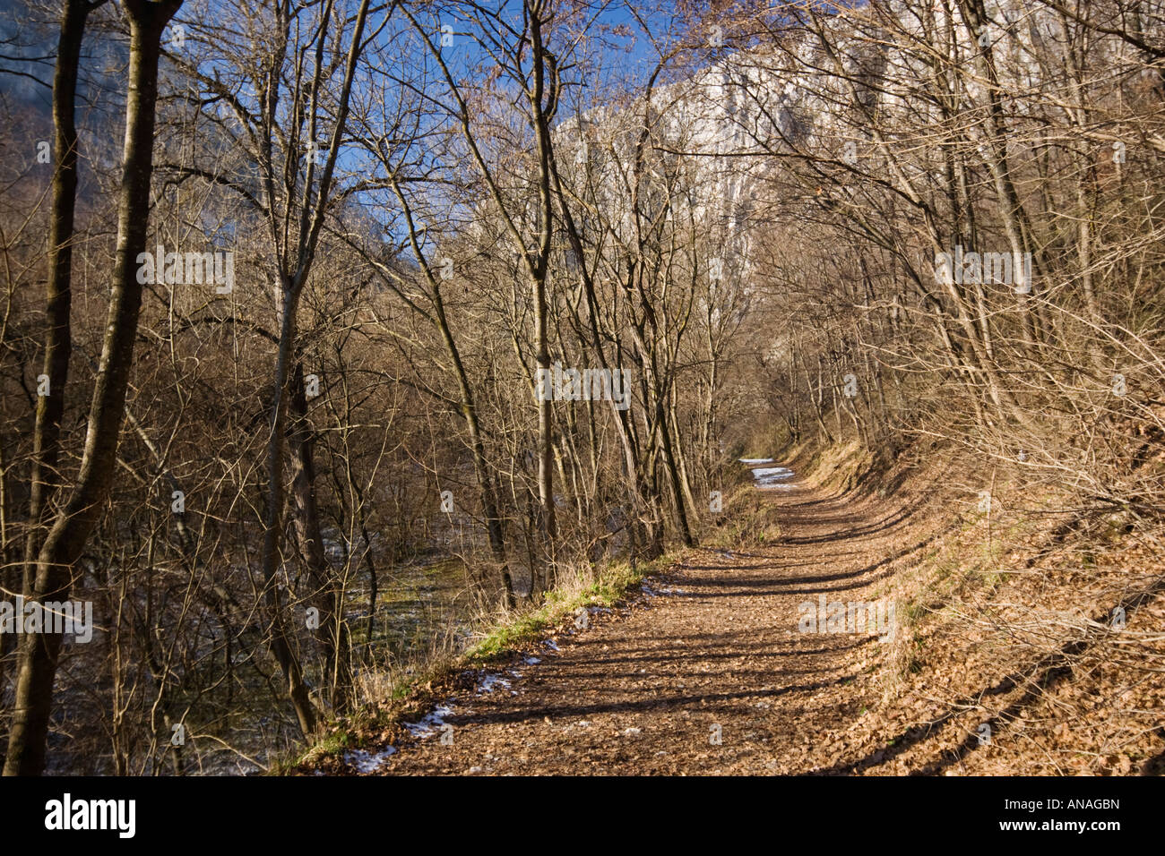 Cheile turzii Banque de photographies et d’images à haute résolution ...