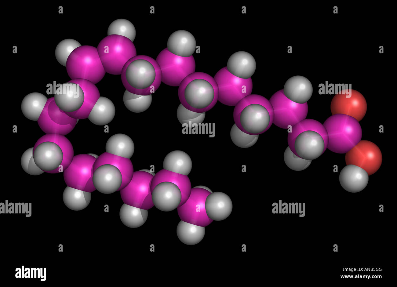 L'acide oléique Banque de photographies et d’images à haute résolution ...