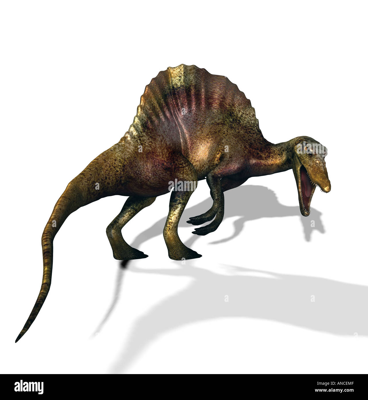 Dinosaur dinosaurs dino spinosaurus Banque de photographies et d’images à haute résolution ...