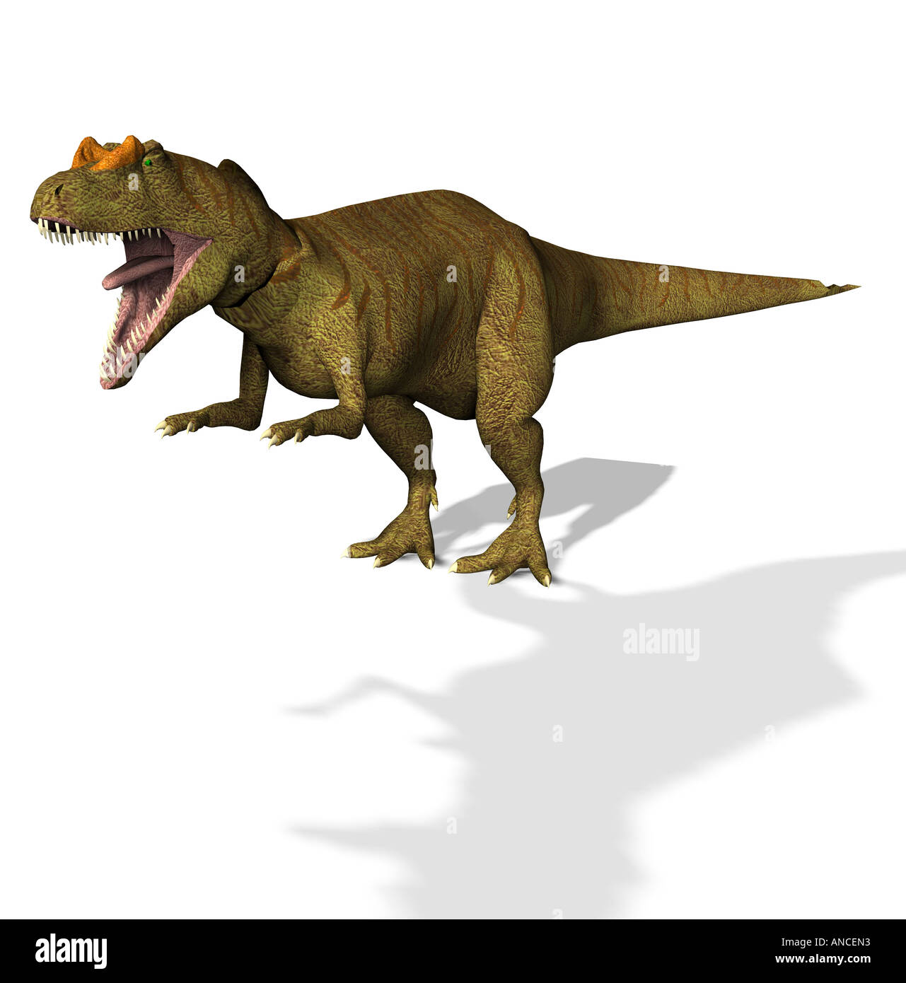 Dinosaur dinosaurs dino allosaurus Banque de photographies et d’images à haute résolution - Alamy