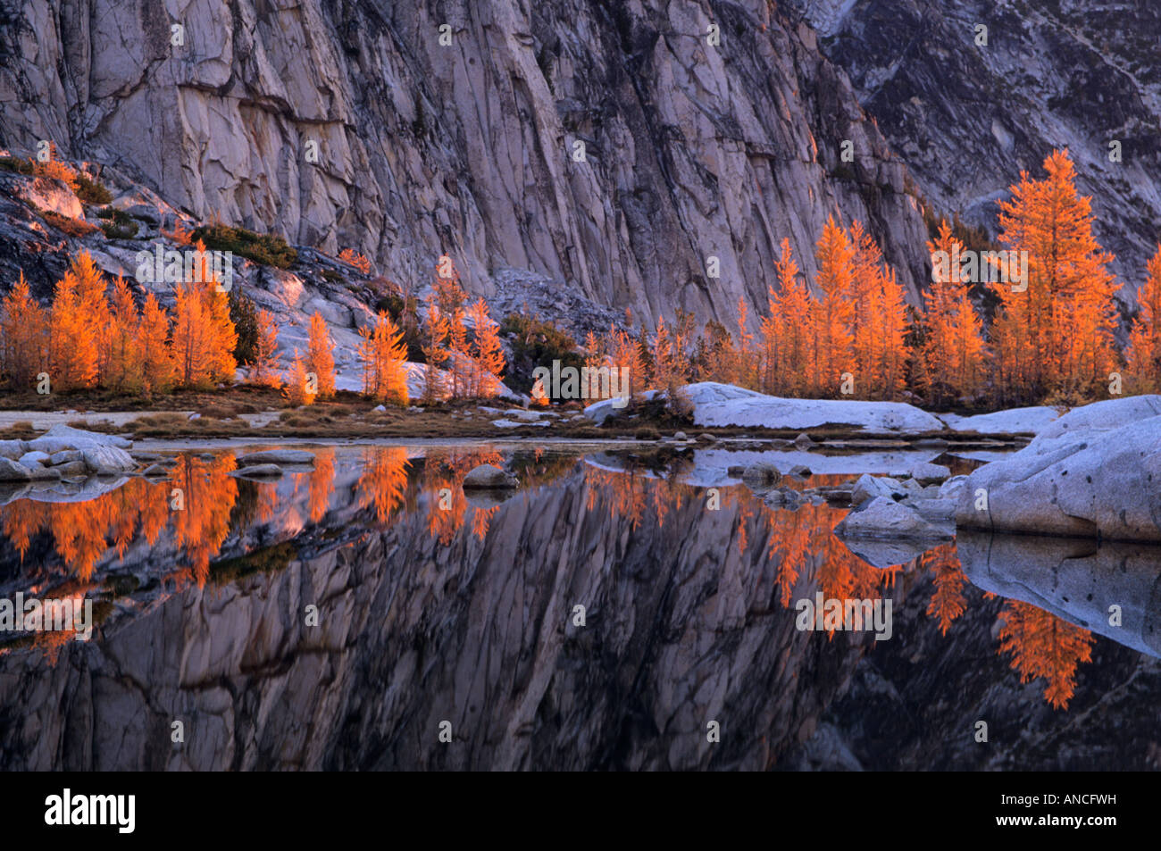 WA, lacs de montagne Désert, Enchantement des lacs, mélèzes dorée ...
