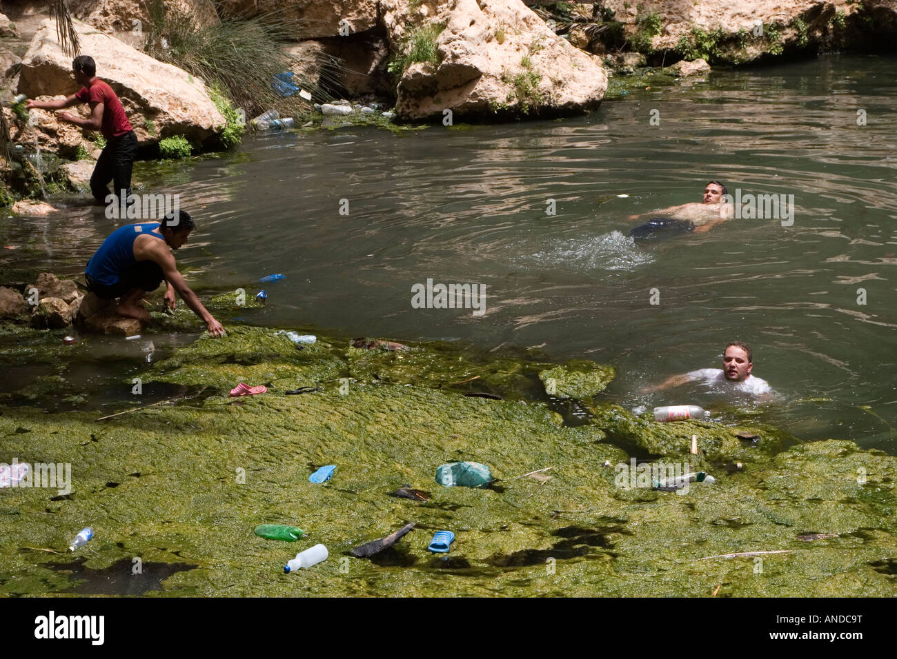 Ain zarqa Banque de photographies et d’images à haute résolution - Alamy