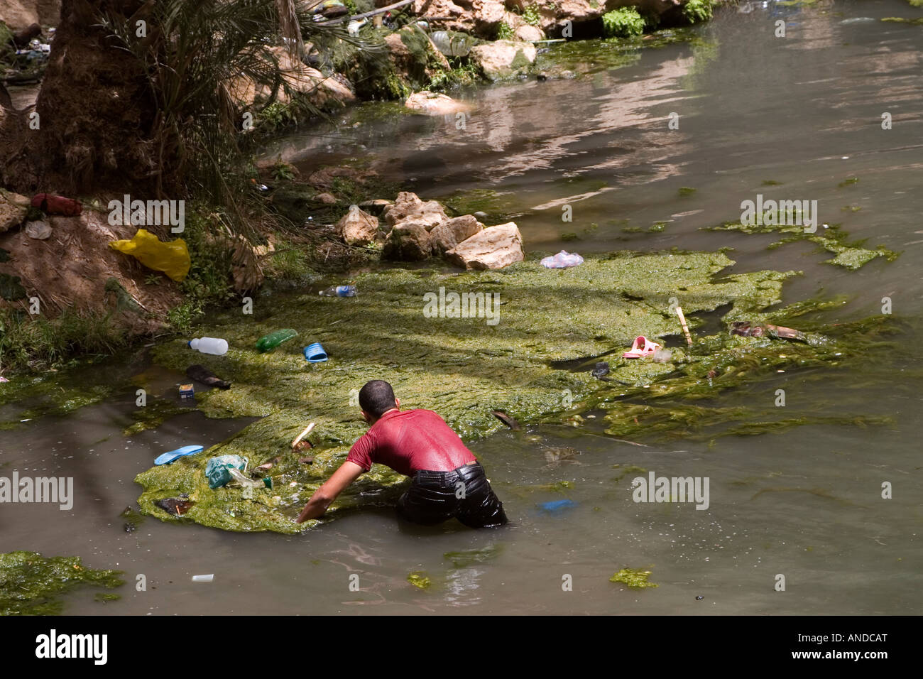 Ain zarqa Banque de photographies et d’images à haute résolution - Alamy