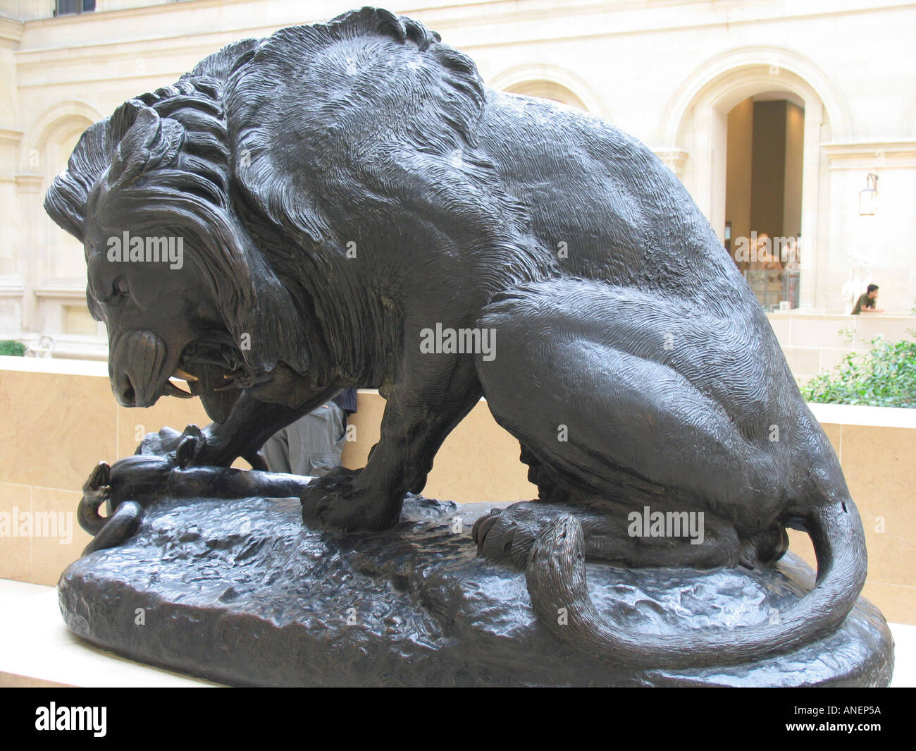 Le lion et le serpent Banque de photographies et d’images à haute ...