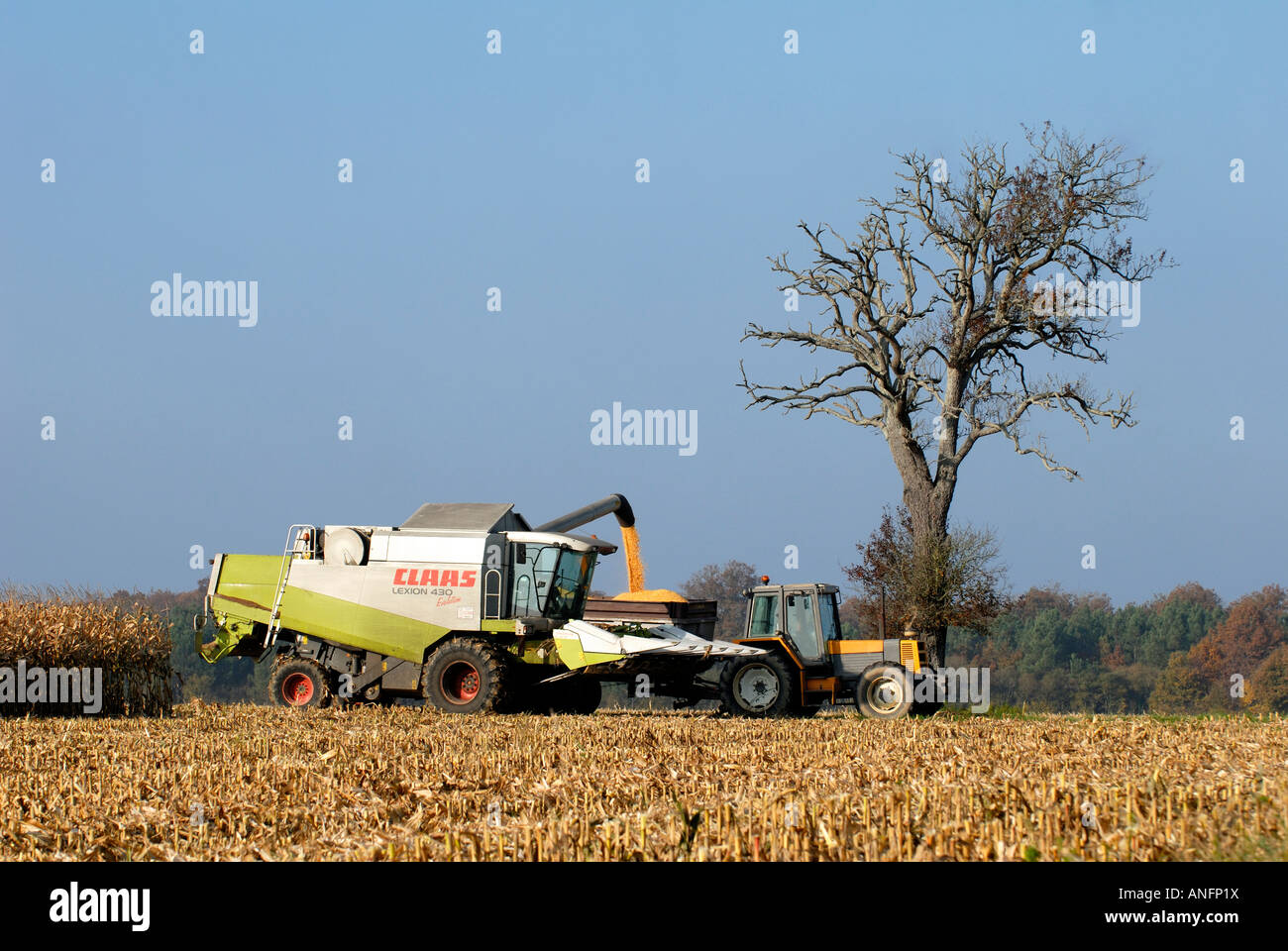 Moissonneuse-batteuse Claas récolte le maïs / maïs sucré, Indre et ...