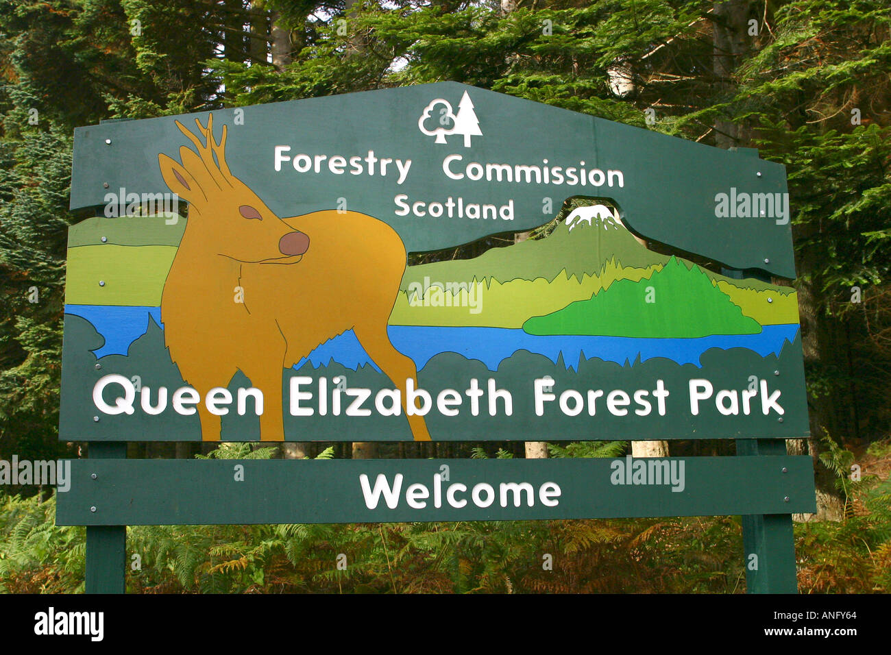 Queen elizabeth forest park Banque de photographies et d’images à haute ...