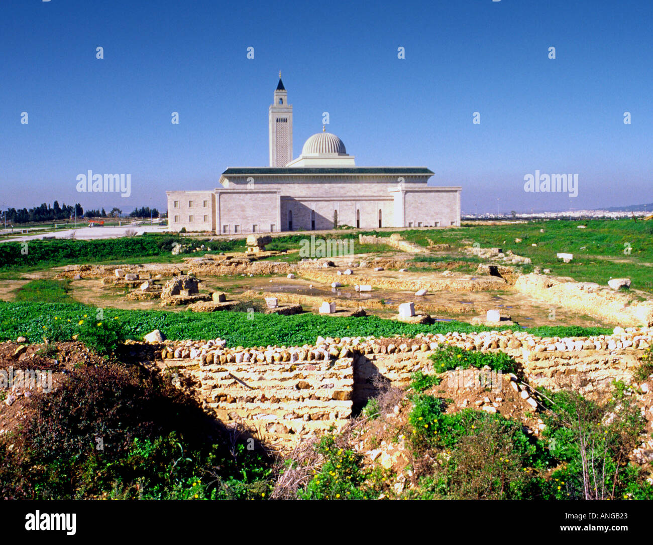 Carthage mosque tunisia Banque de photographies et d’images à haute ...