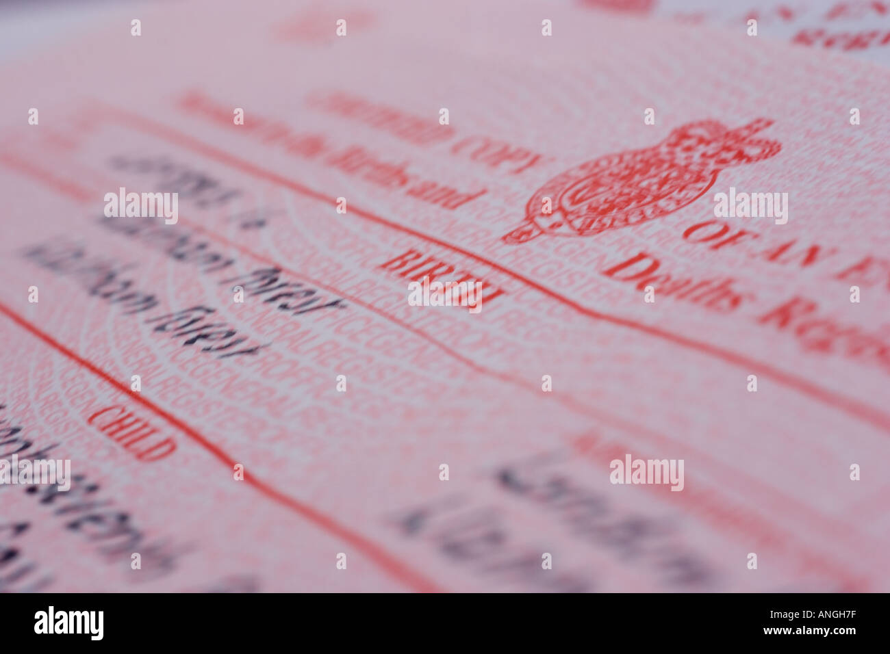 Certificat de naissance Banque de photographies et d’images à haute résolution - Alamy