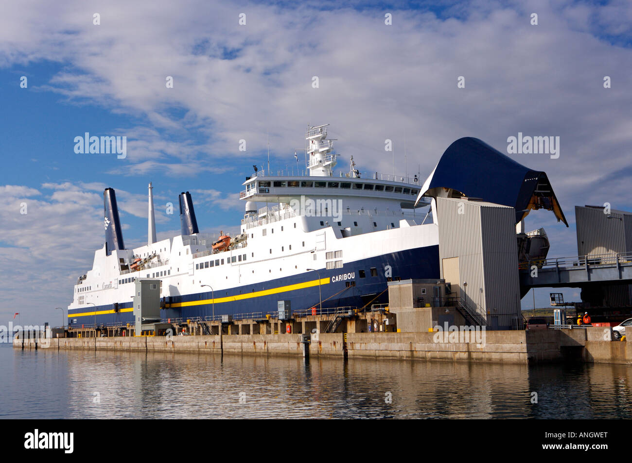 M v caribou Banque de photographies et d’images à haute résolution - Alamy