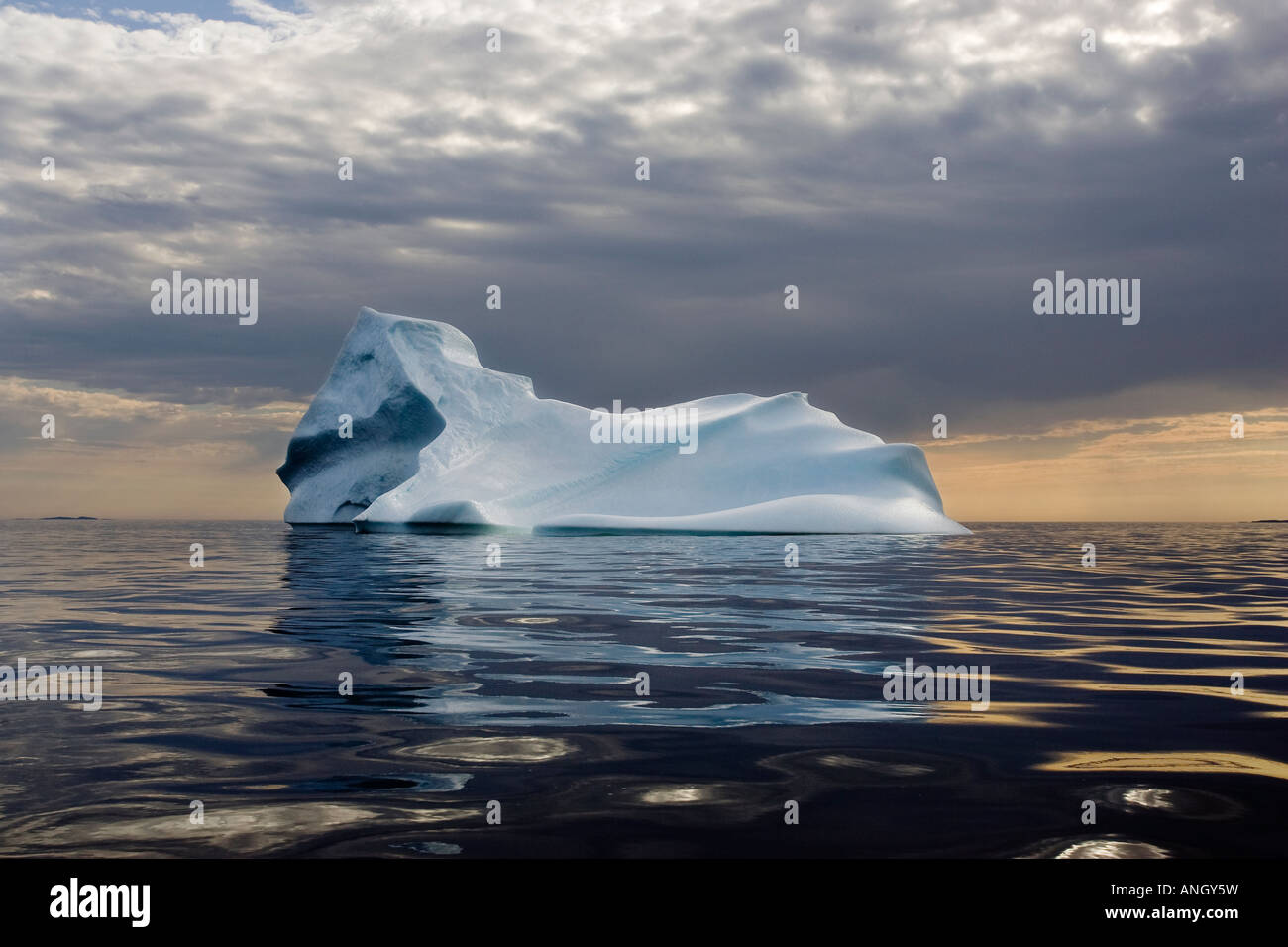 Mer Labrador Banque d'image et photos - Alamy