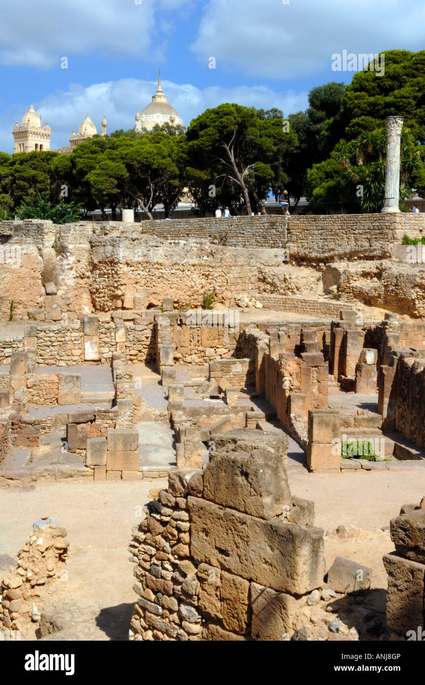Carthage acropolis byrsa Banque de photographies et d’images à haute ...