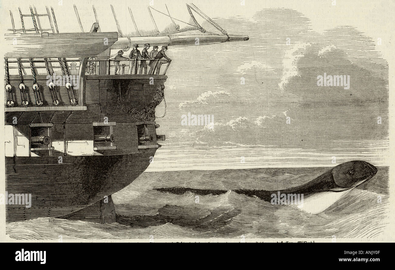 Hms serpent Banque de photographies et d’images à haute résolution - Alamy