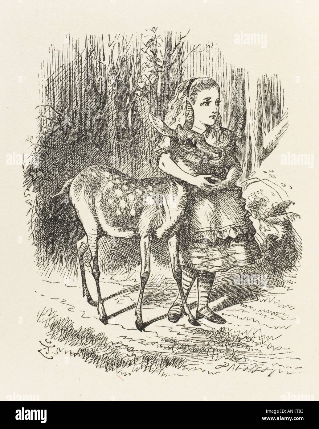 Alice et fauve Banque de photographies et d’images à haute résolution ...