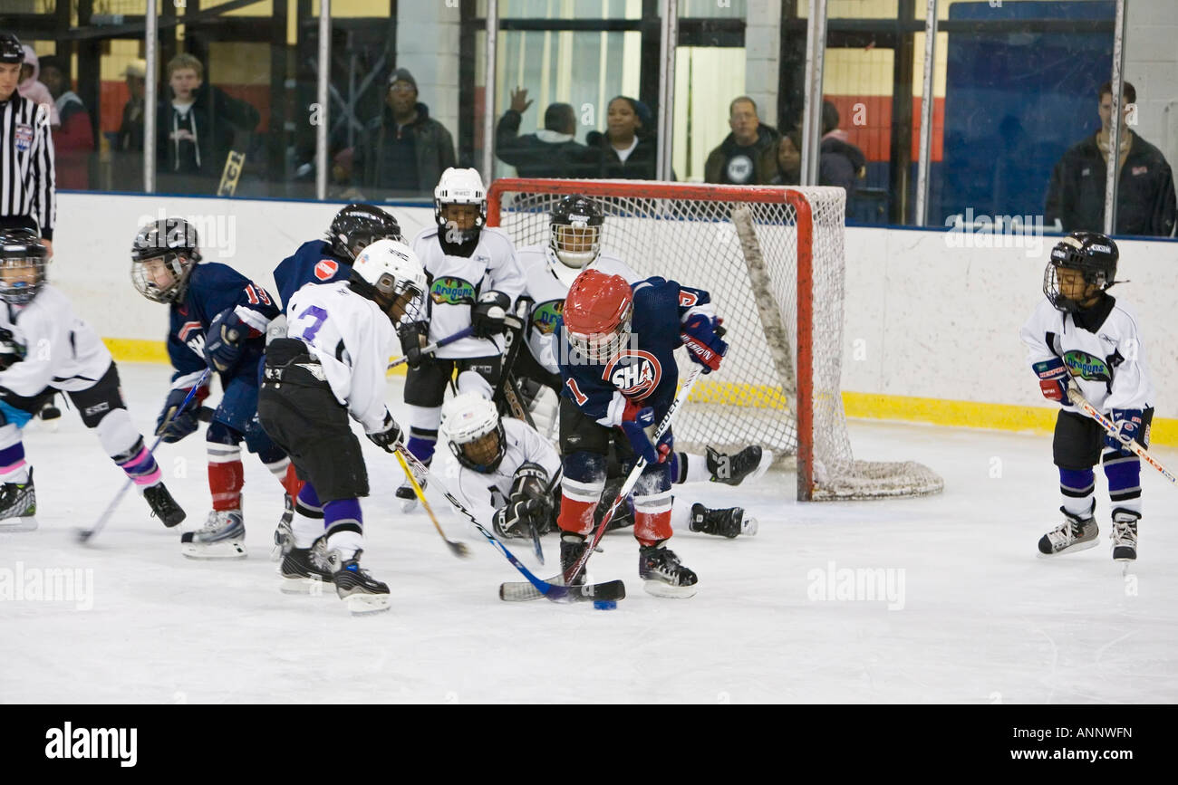 Jouer au hockey sur glace Banque de photographies et d’images à haute ...