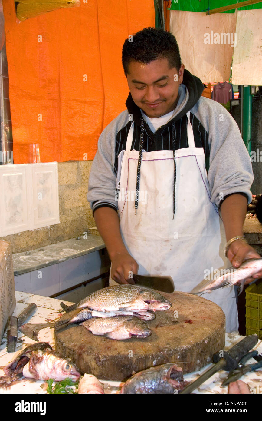 Poisson mexique Banque de photographies et d’images à haute résolution ...