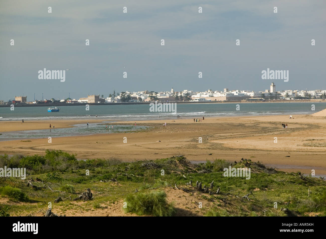 Les dunes du cap sim Banque de photographies et d’images à haute ...
