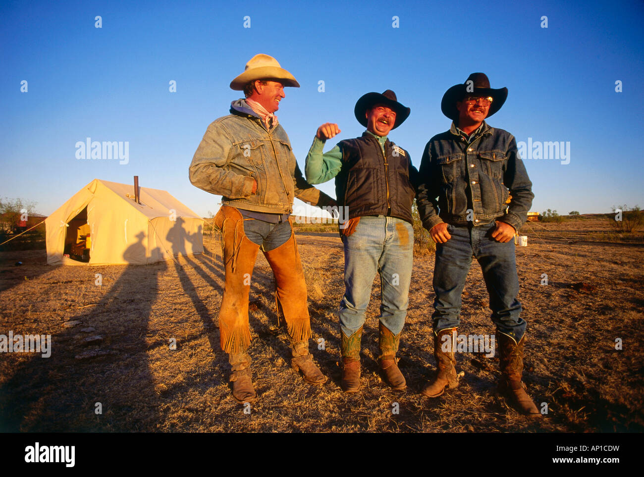 Cowboys du texas Banque de photographies et d’images à haute résolution ...