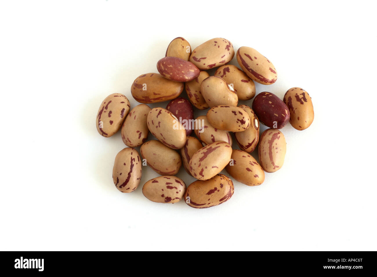 Haricot pinto se bouchent Banque de photographies et d’images à haute ...