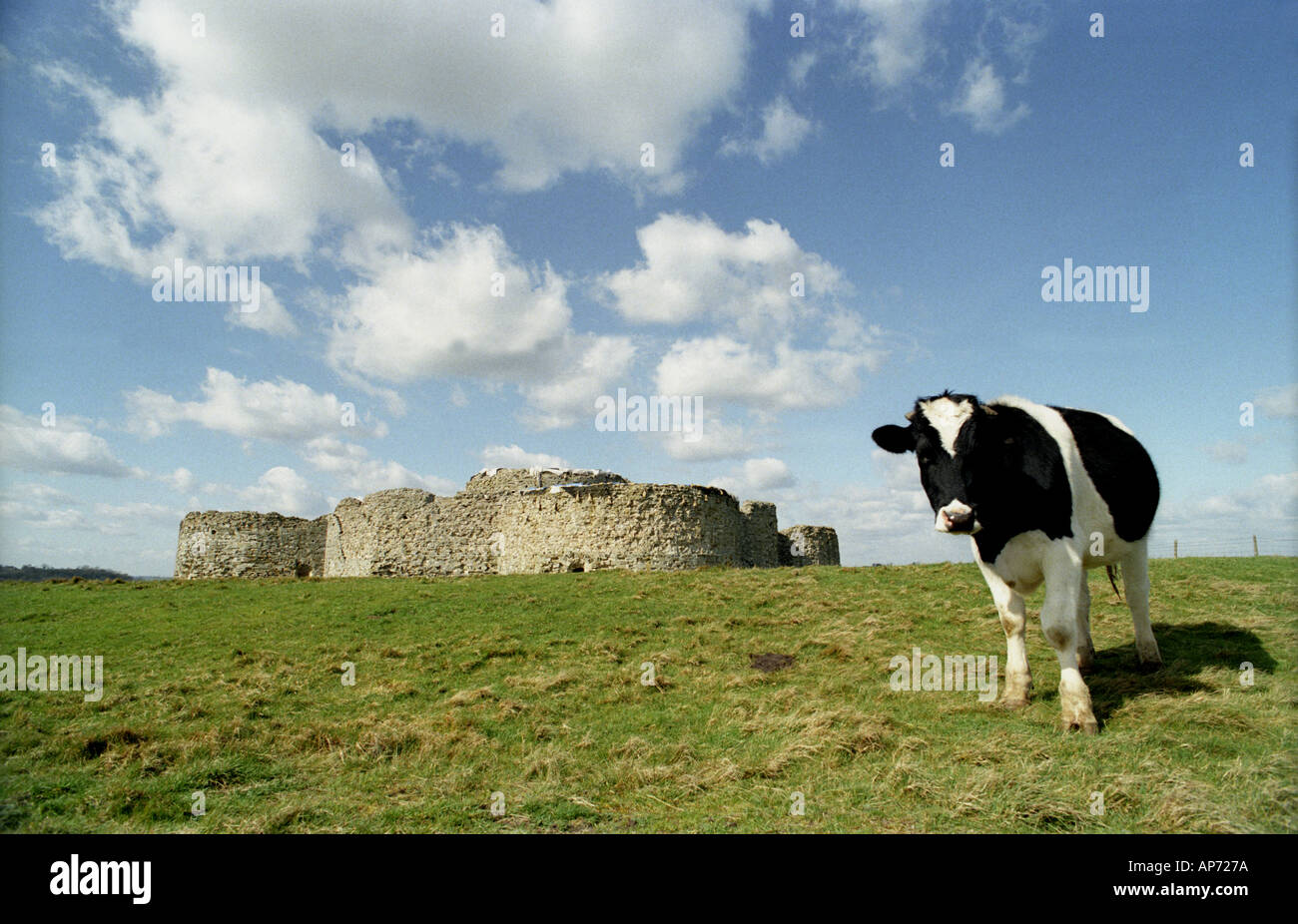 Camber castle Banque de photographies et d’images à haute résolution ...