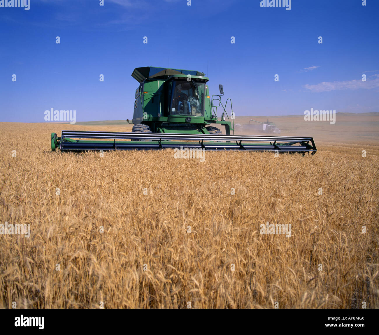 Abatteuse john deere 9600 Banque de photographies et d’images à haute ...