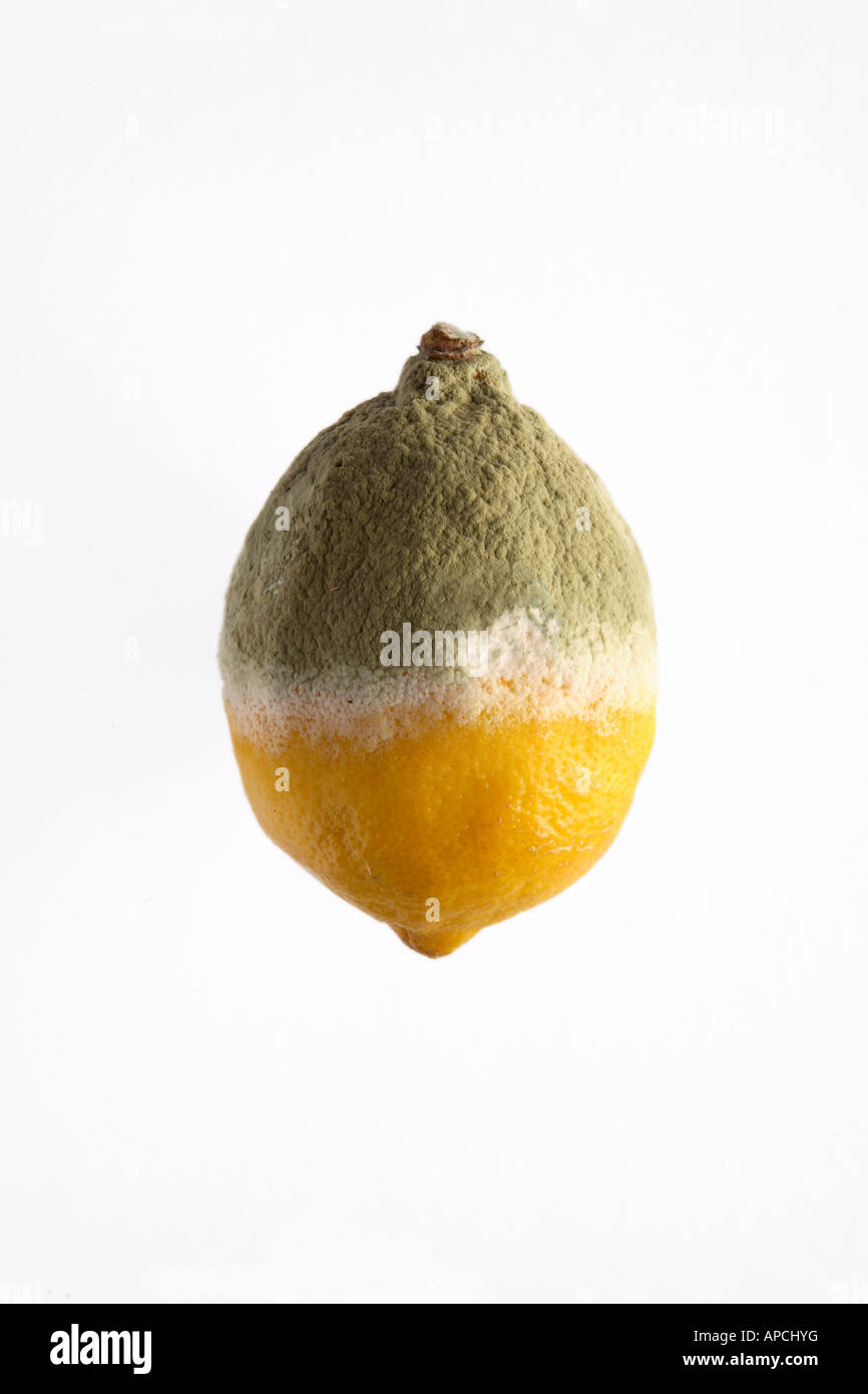 Citron pourri Banque de photographies et d’images à haute résolution ...