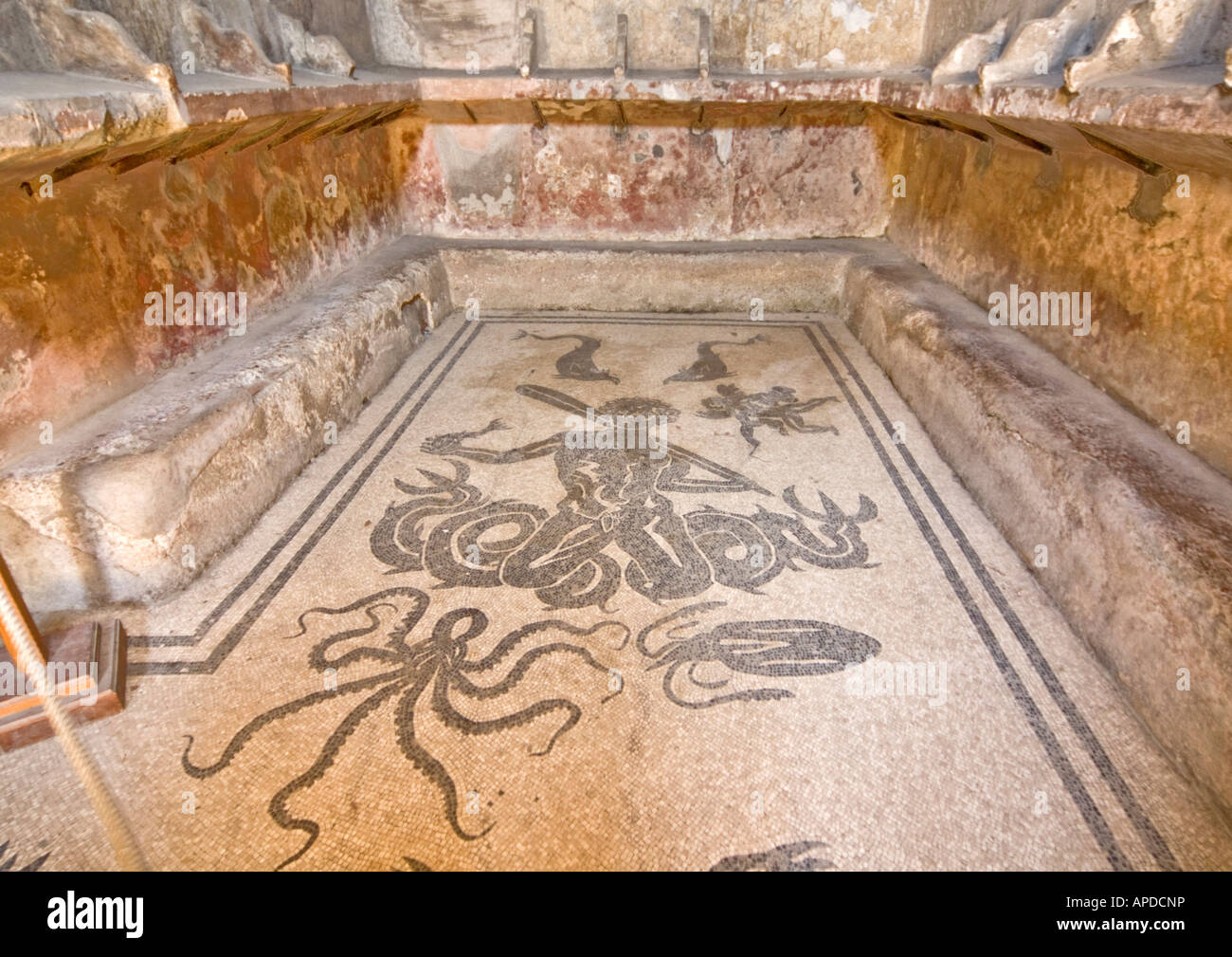 Le tepidarium Banque de photographies et d’images à haute résolution ...