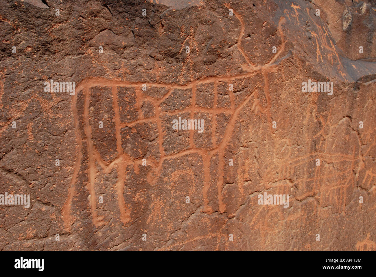 Petroglyphs africa Banque de photographies et d’images à haute ...