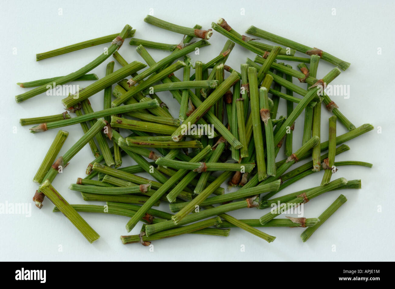 Mallow pays feu huang de ma conjointe Ma Huang Cao Ephedra sinica ...