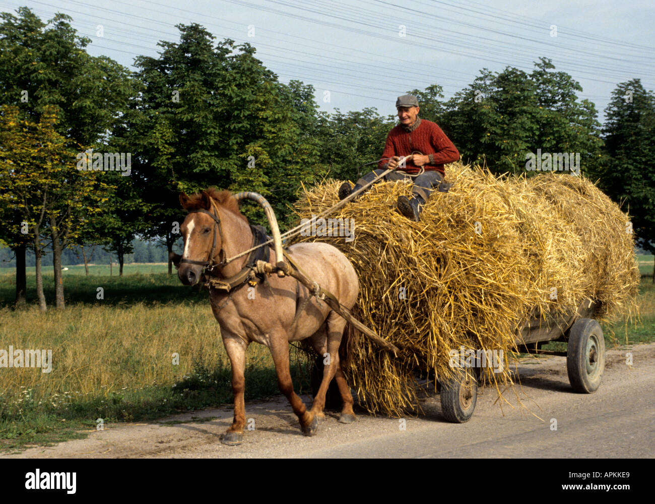 Cheval et charrette Banque de photographies et d’images à haute ...